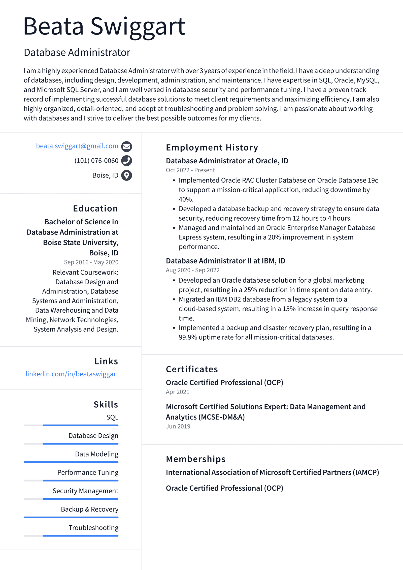 Meta Database Administrator Resume Examples | ResumeCat