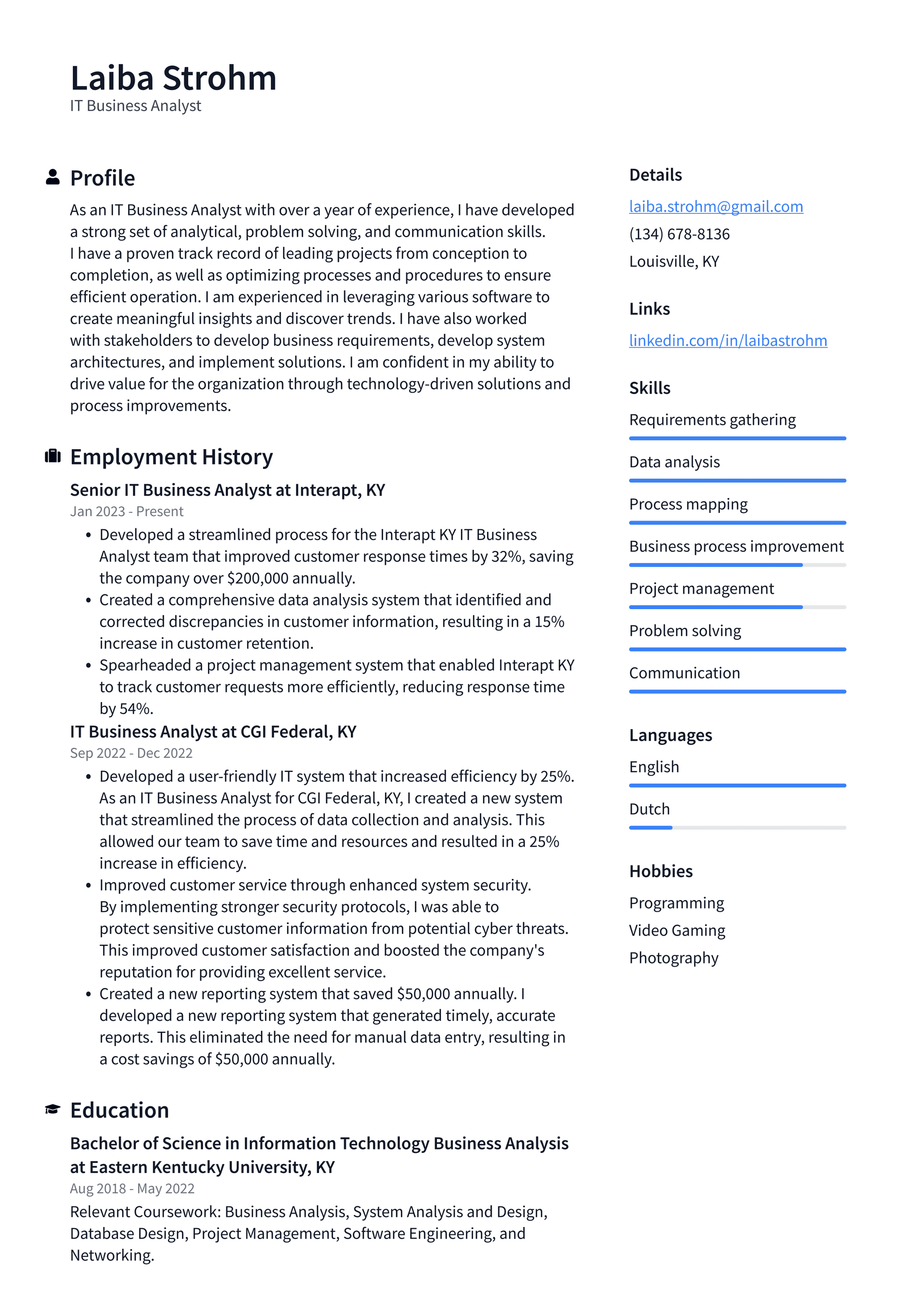 Meta IT Business Analyst Resume Examples | ResumeCat