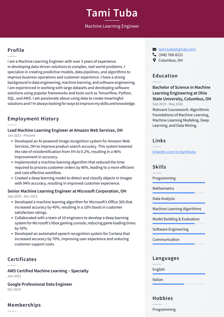 Meta Machine Learning Engineer Resume Examples | ResumeCat