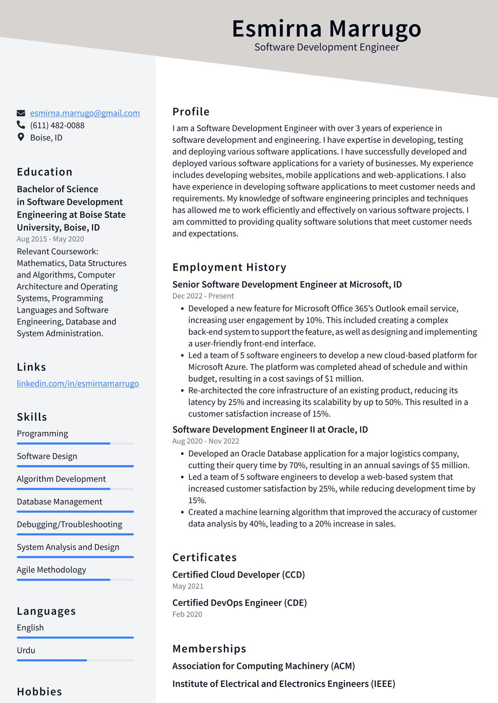 Meta Software Development Engineer Resume Examples