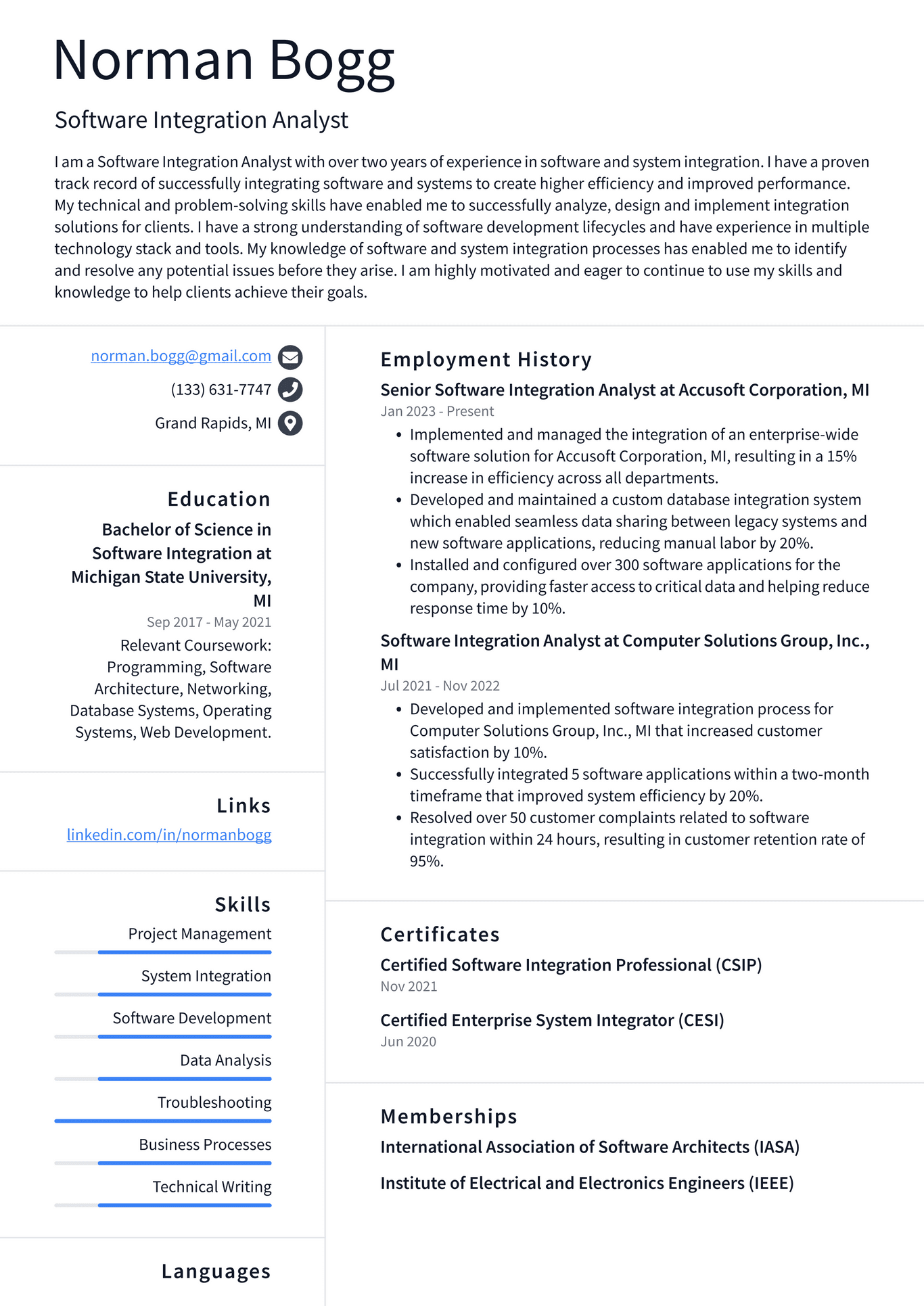 Meta Software Integration Analyst Resume Examples
