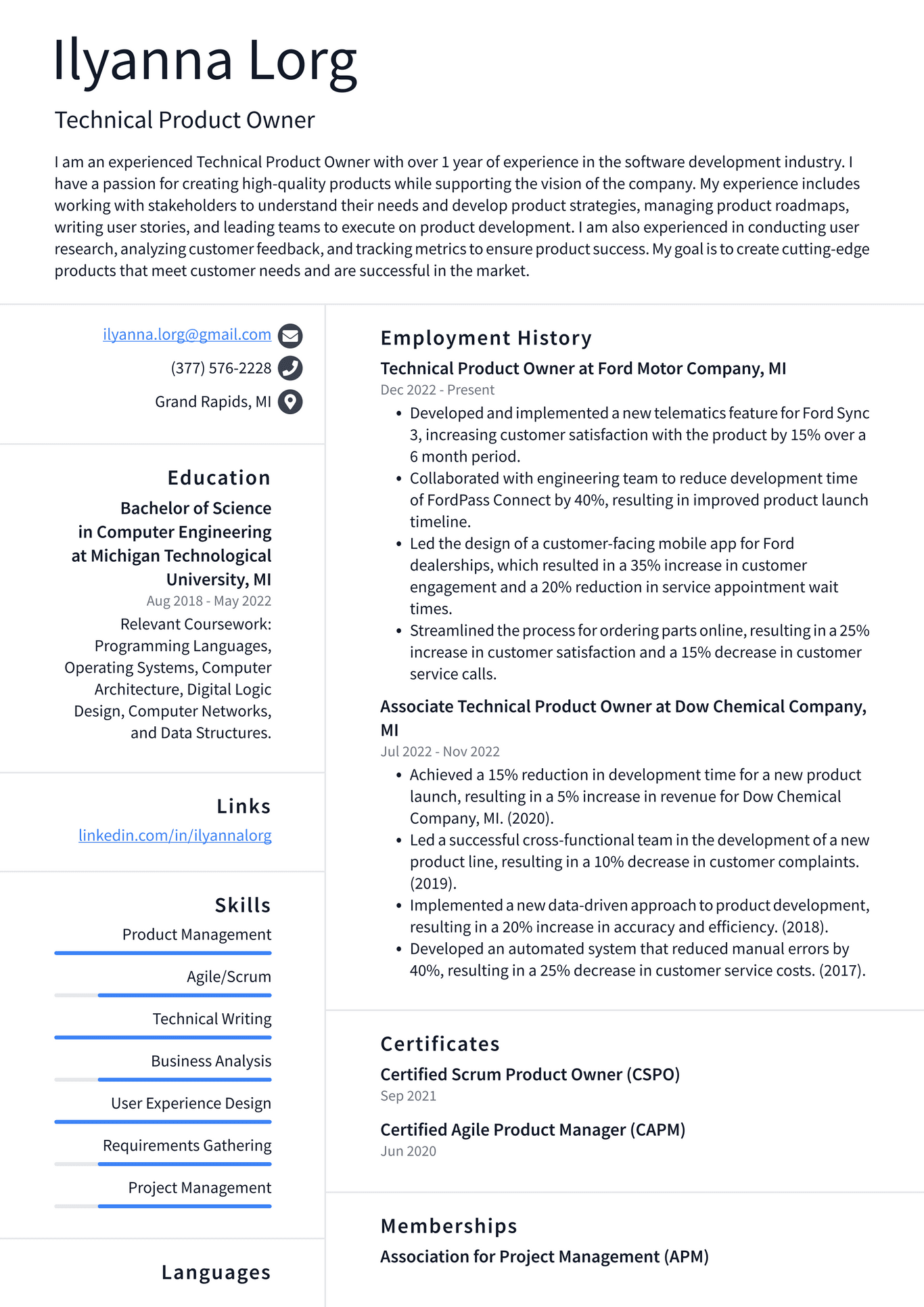 Meta Technical Product Owner Resume Examples | ResumeCat