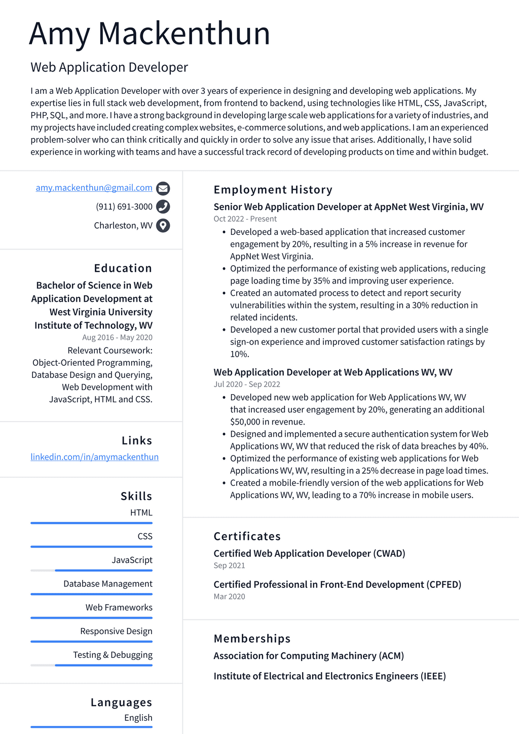Meta Web Application Developer Resume Examples | ResumeCat