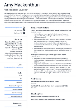 Meta Web Application Developer Resume Examples | ResumeCat