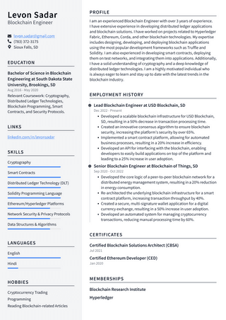 Netflix Blockchain Engineer Resume Examples | ResumeCat