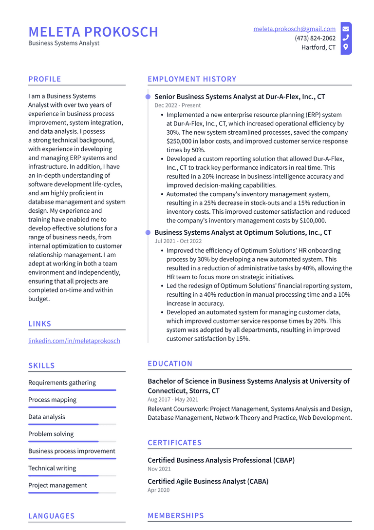 Netflix Business Systems Analyst Resume Examples ResumeCat