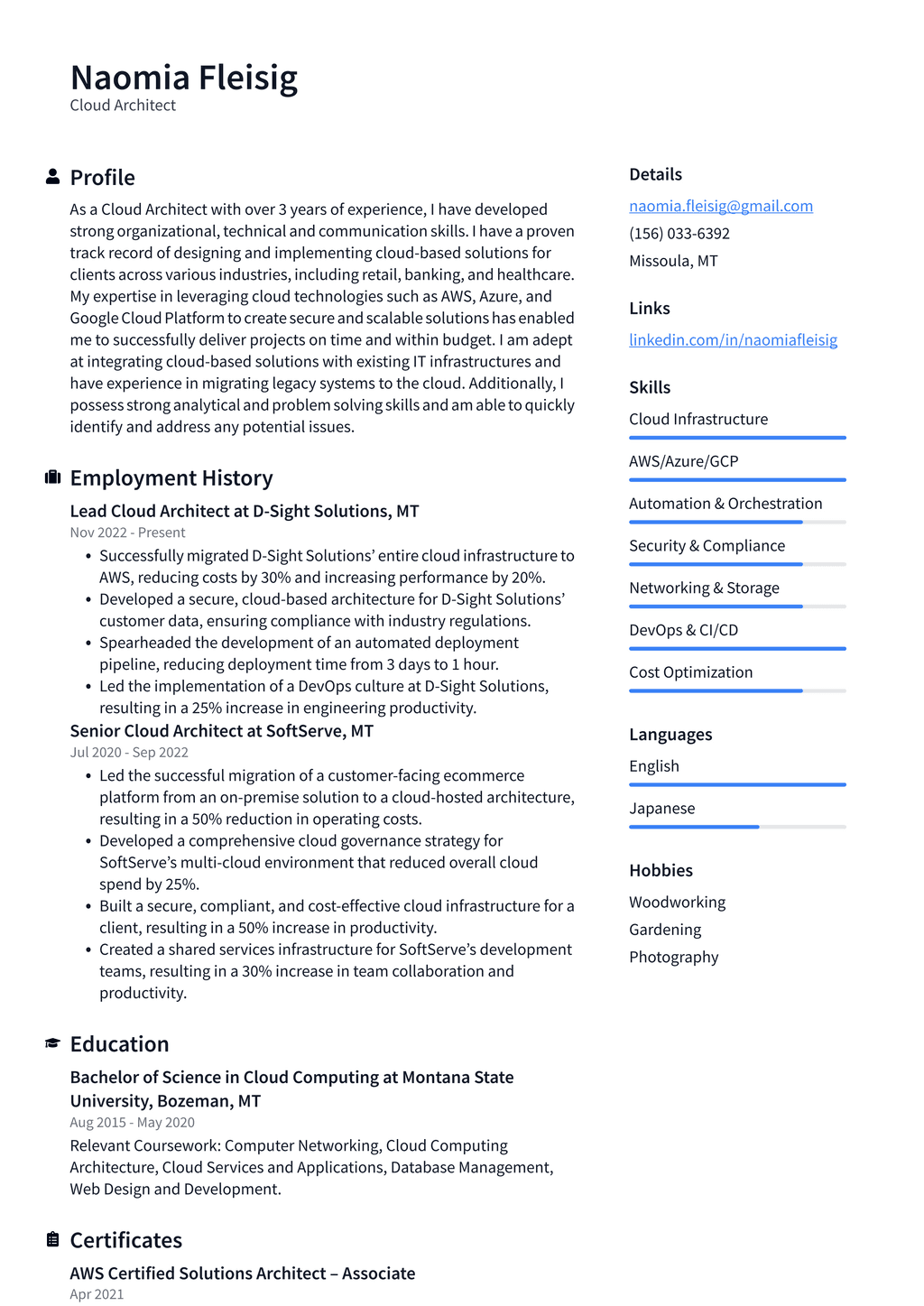 Netflix Cloud Architect Resume Examples | ResumeCat
