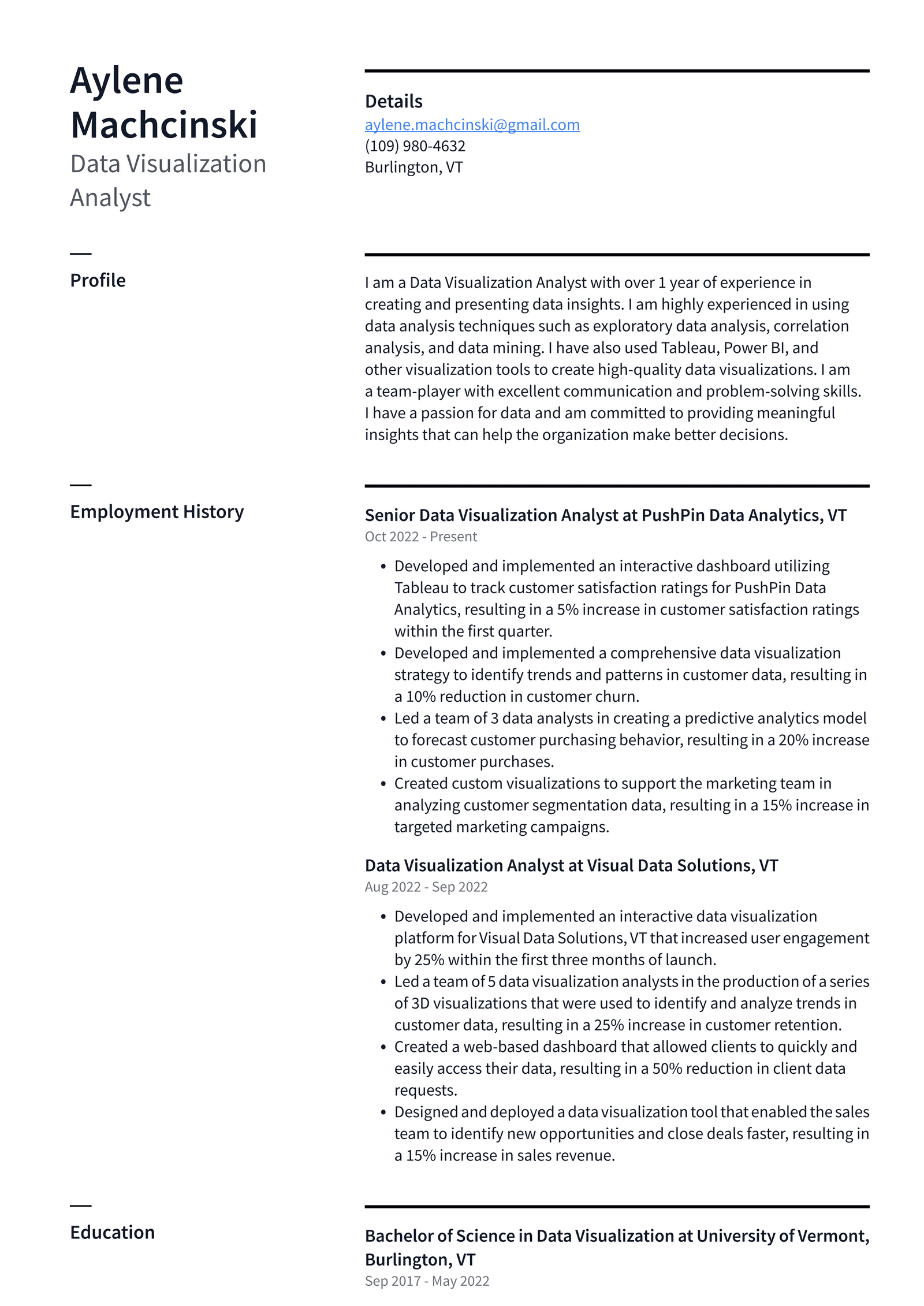 Netflix Data Visualization Analyst Resume Examples