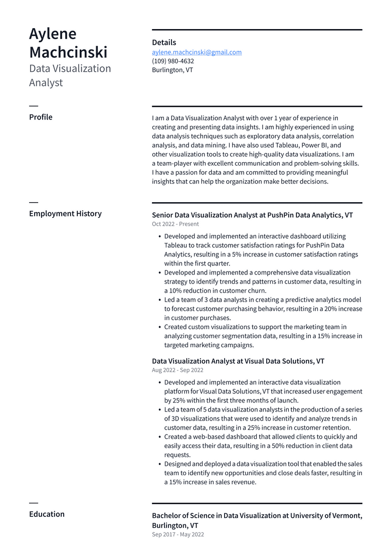 Netflix Data Visualization Analyst Resume Examples