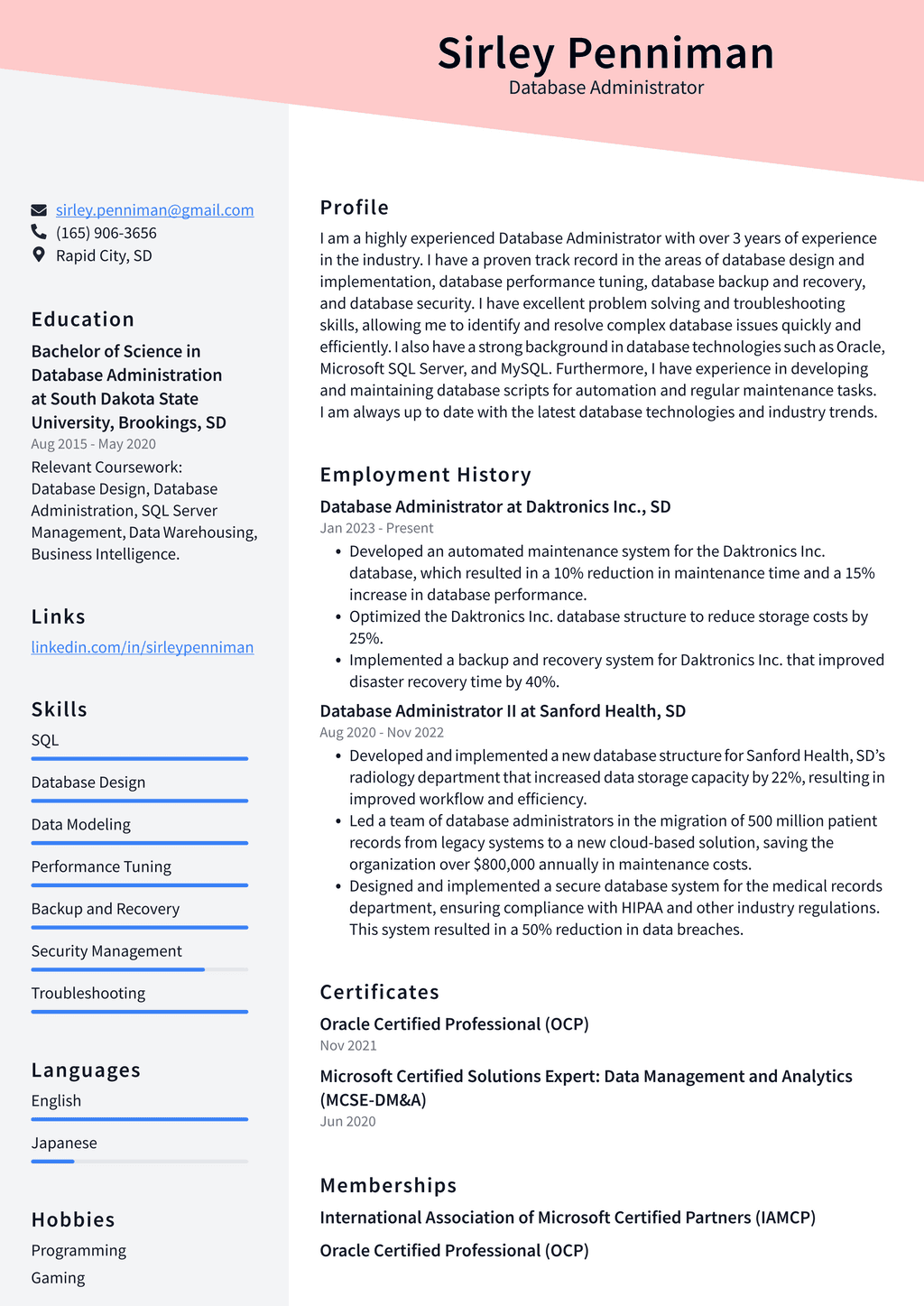 Netflix Database Administrator Resume Examples | ResumeCat