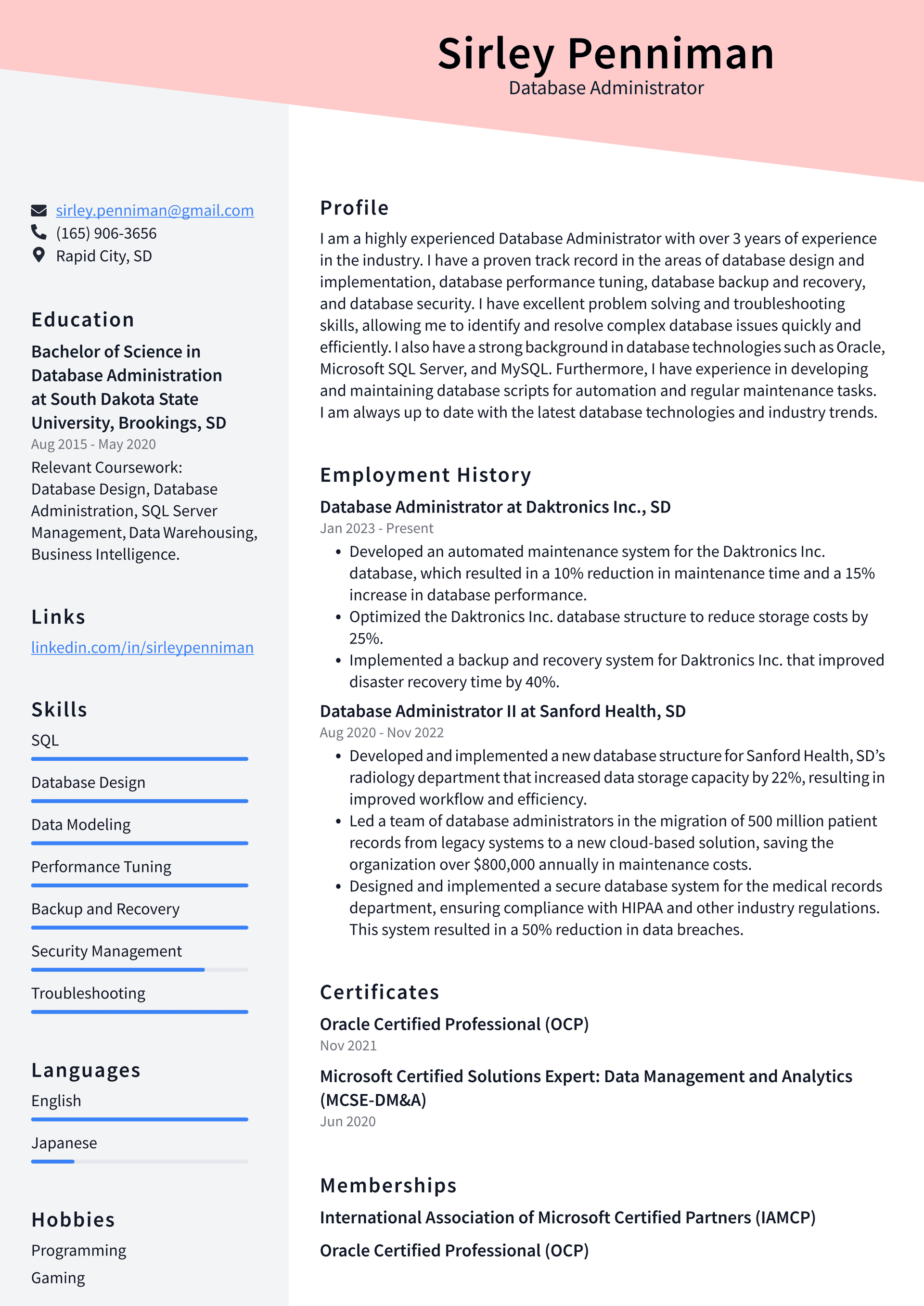 Netflix Database Administrator Resume Examples | ResumeCat