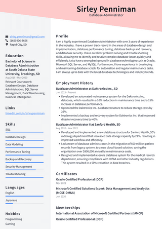 Netflix Database Administrator Resume Examples | ResumeCat