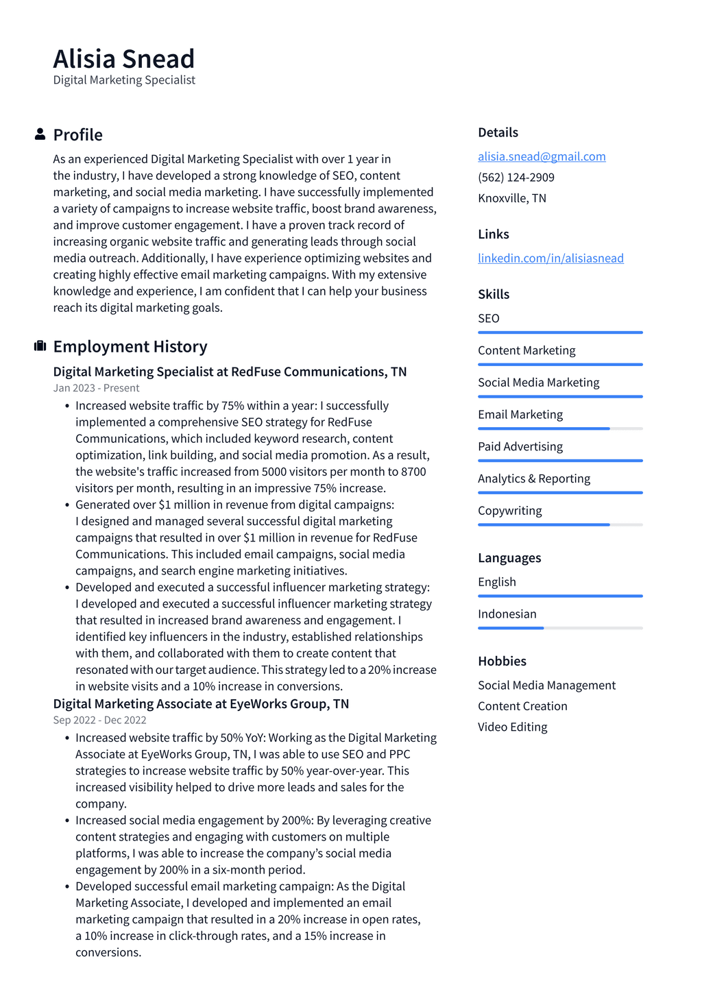 Netflix Digital Marketing Specialist Resume Examples