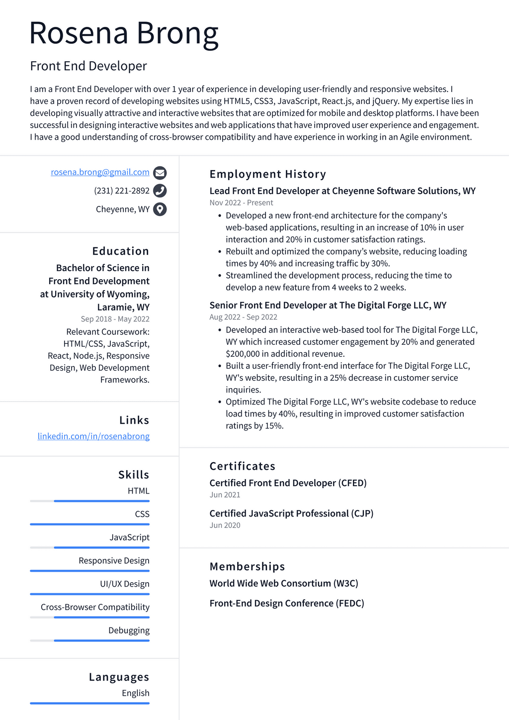 Netflix Front End Developer Resume Examples | ResumeCat