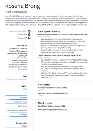Netflix Front End Developer Resume Examples | ResumeCat