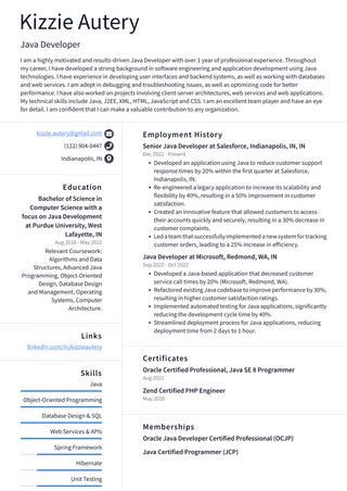 Netflix Java Developer Resume Examples | ResumeCat