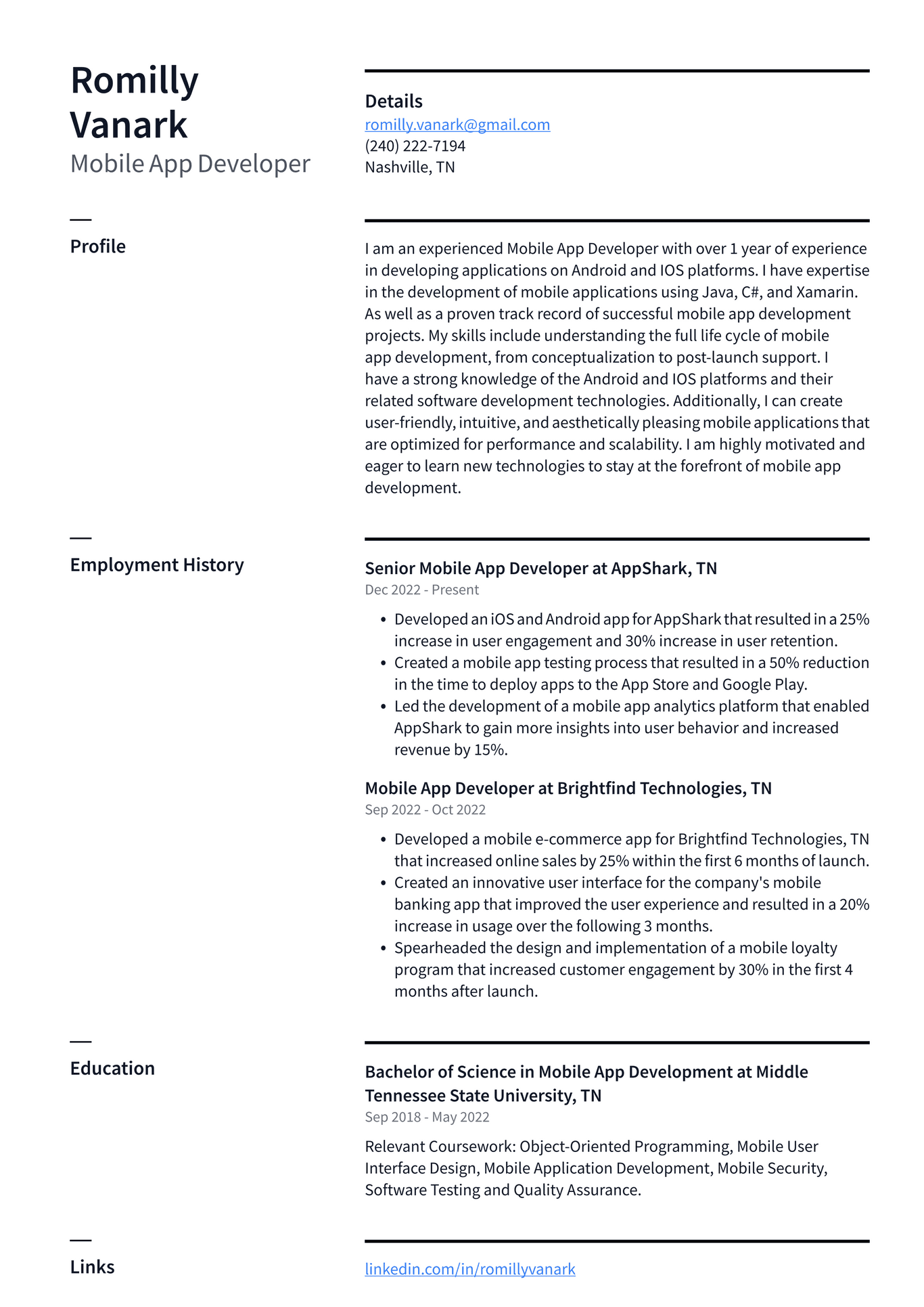 Netflix Mobile App Developer Resume Examples | ResumeCat