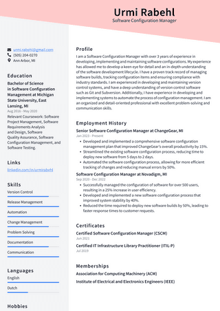 Netflix Software Configuration Manager Resume Examples