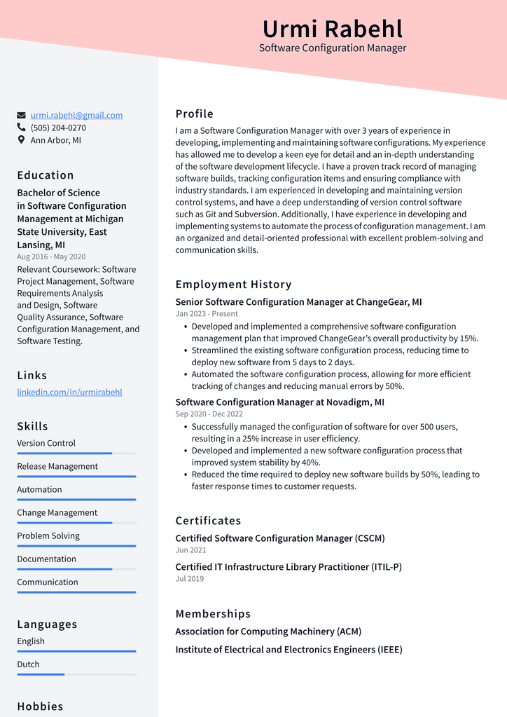 Netflix Software Configuration Manager Resume Examples