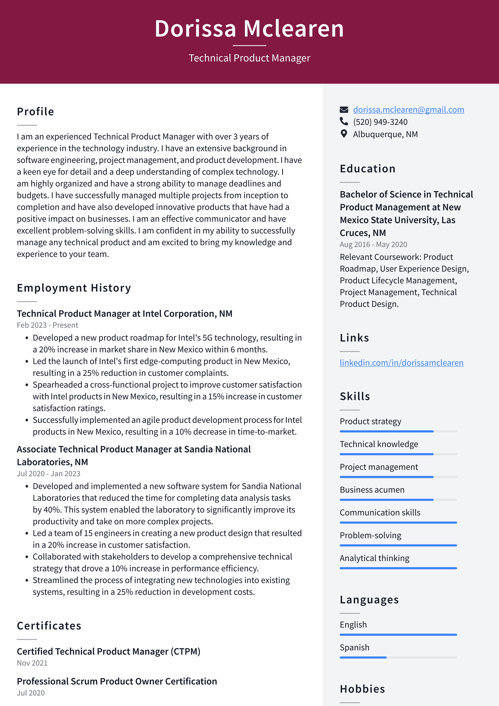 Netflix Technical Product Manager Resume Examples