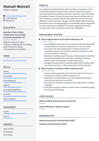 Netflix Video Producer Resume Examples | ResumeCat