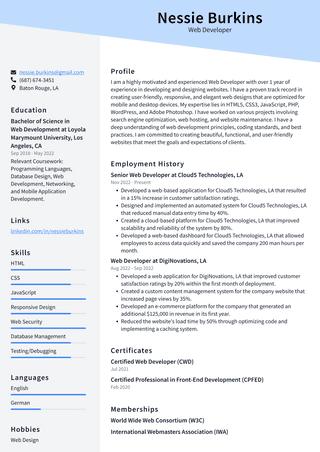 Netflix Web Developer Resume Examples | ResumeCat