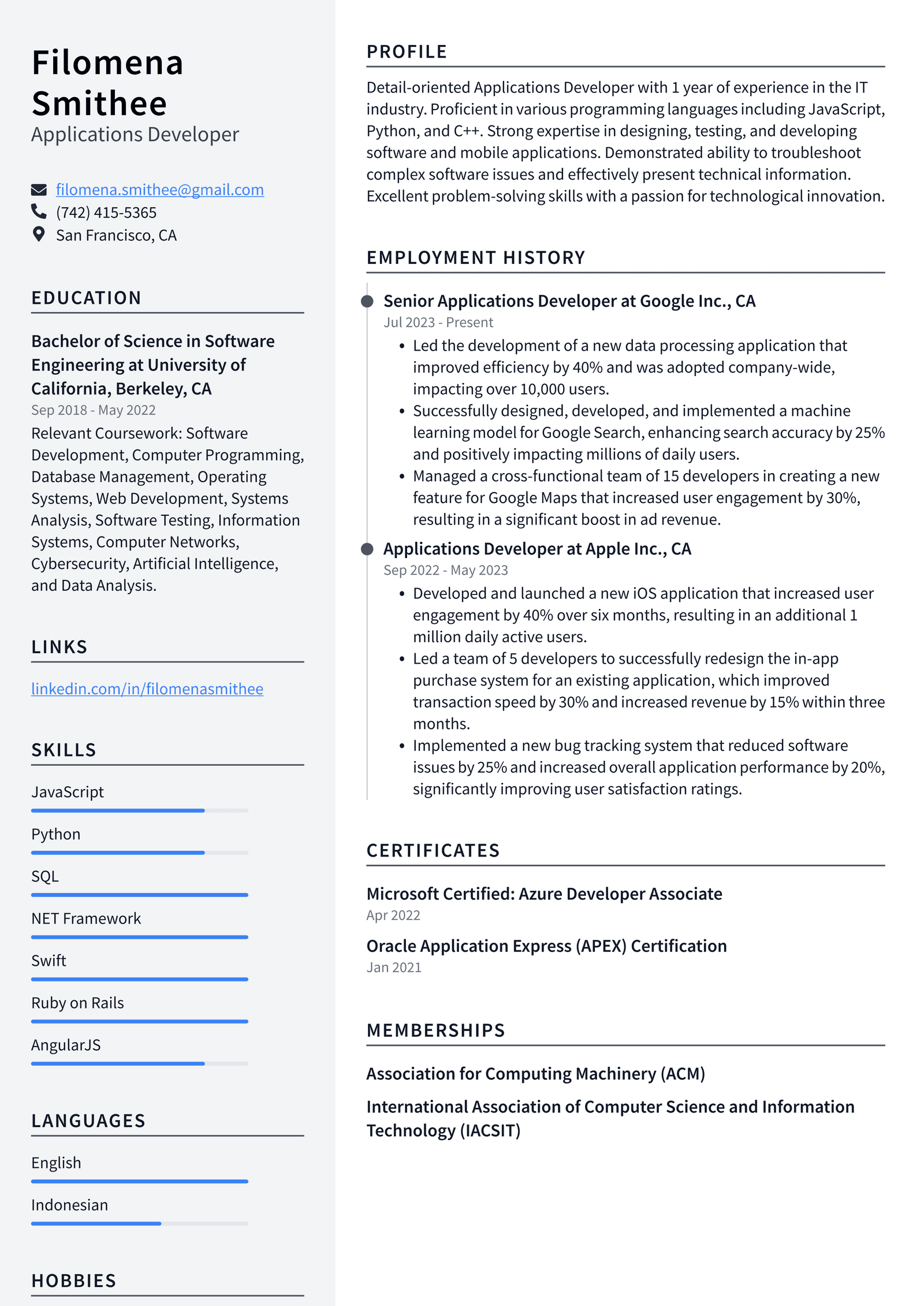 Oracle Applications Developer Resume Examples | ResumeCat