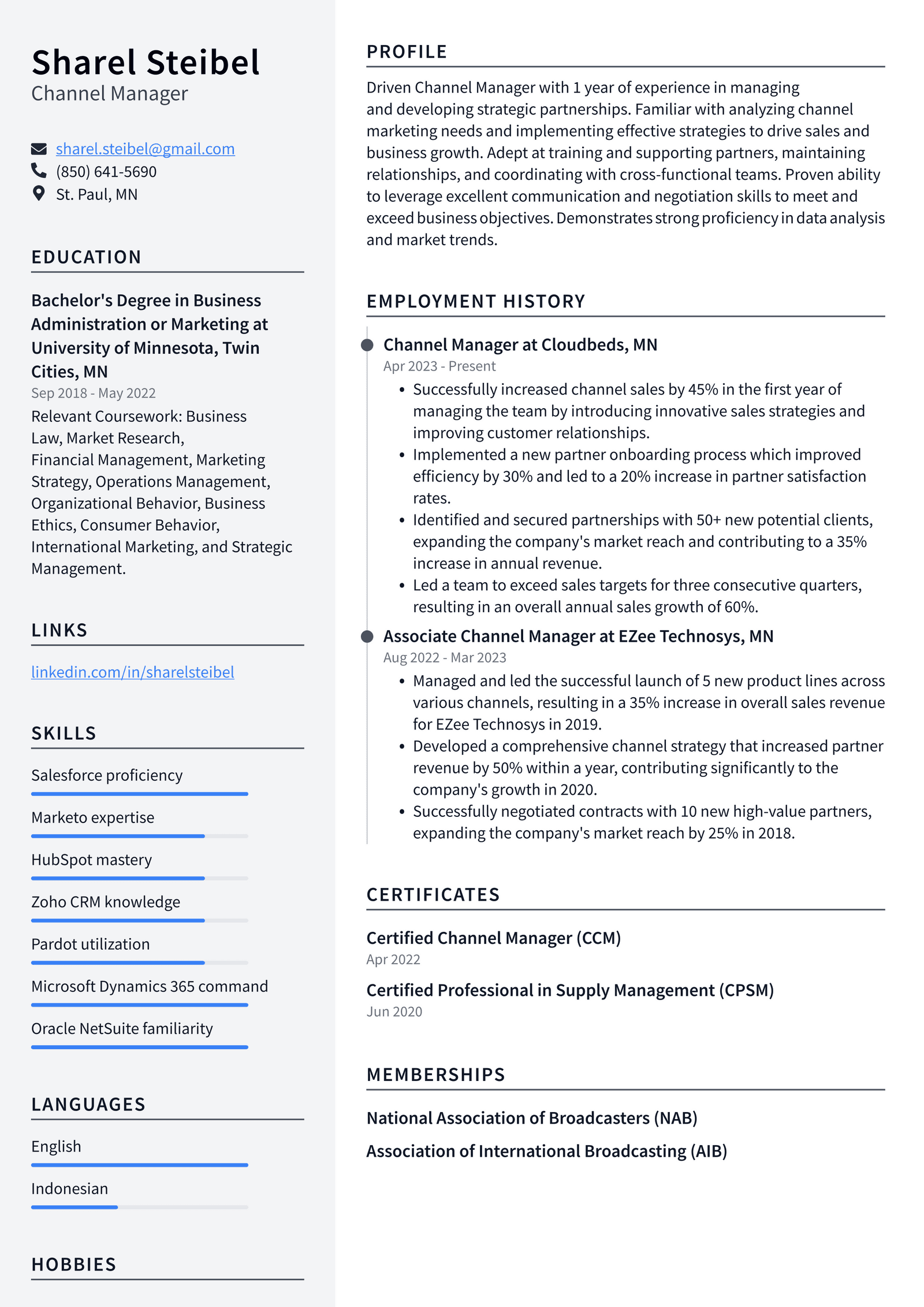 Oracle Channel Manager Resume Examples | ResumeCat