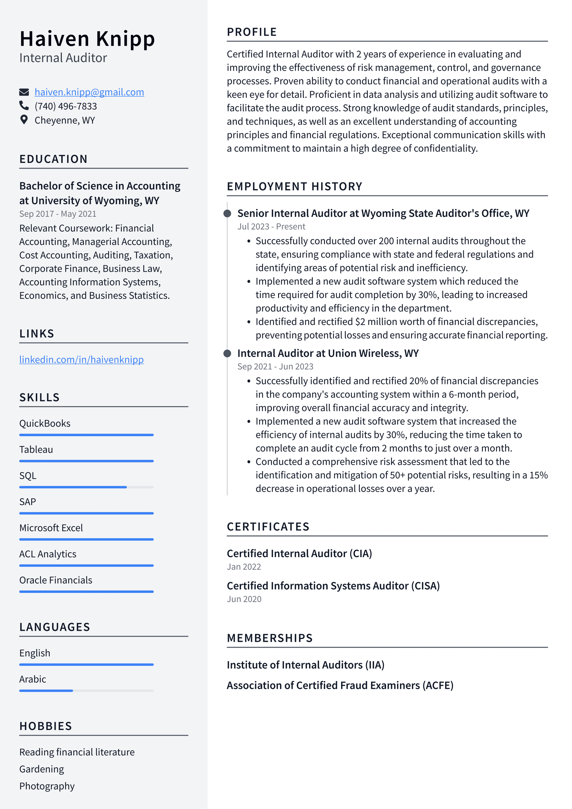 Oracle Internal Auditor Resume Examples | ResumeCat