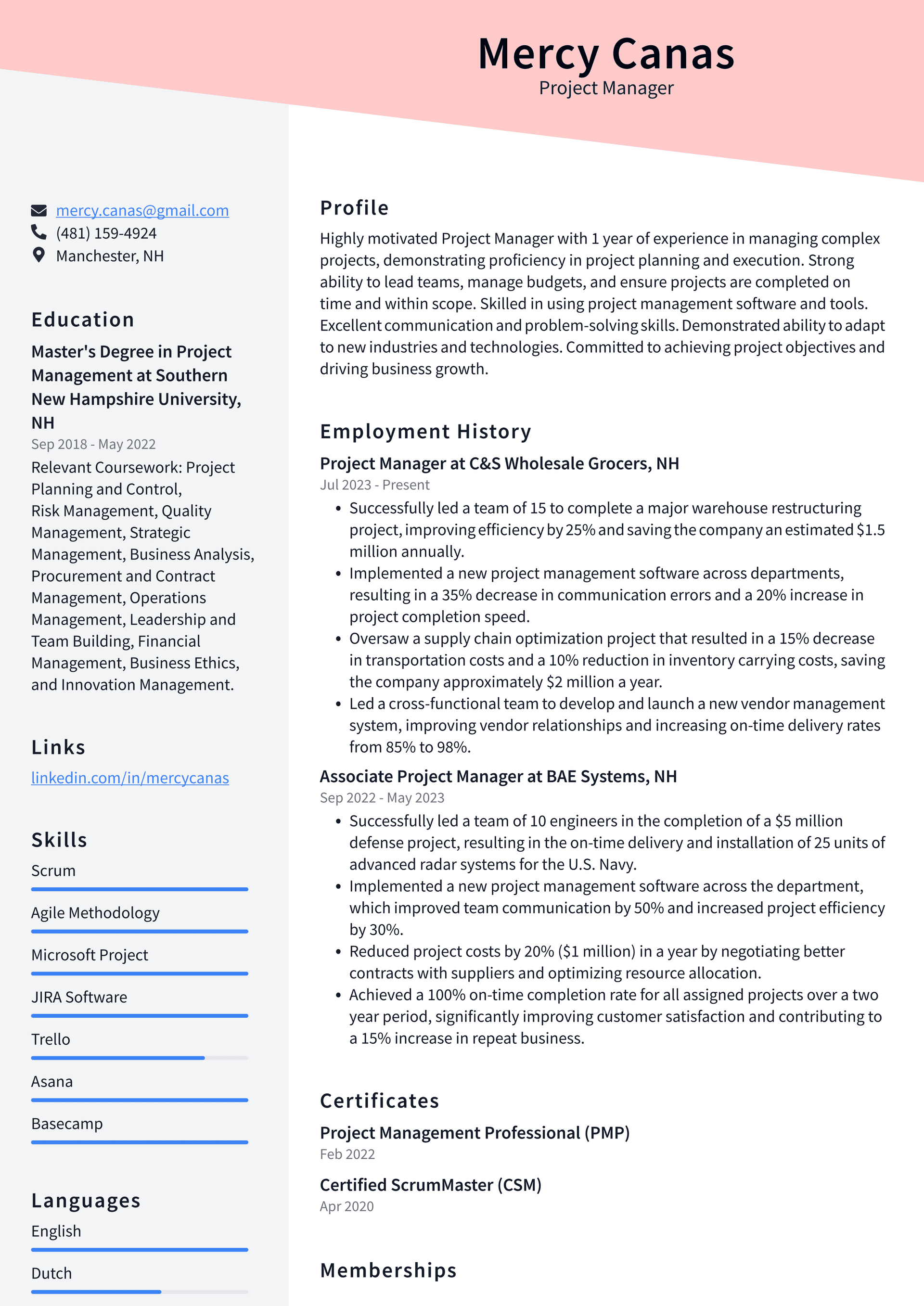 Oracle Project Manager Resume Examples | ResumeCat