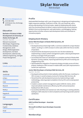Pinterest Web Developer Resume Examples | ResumeCat