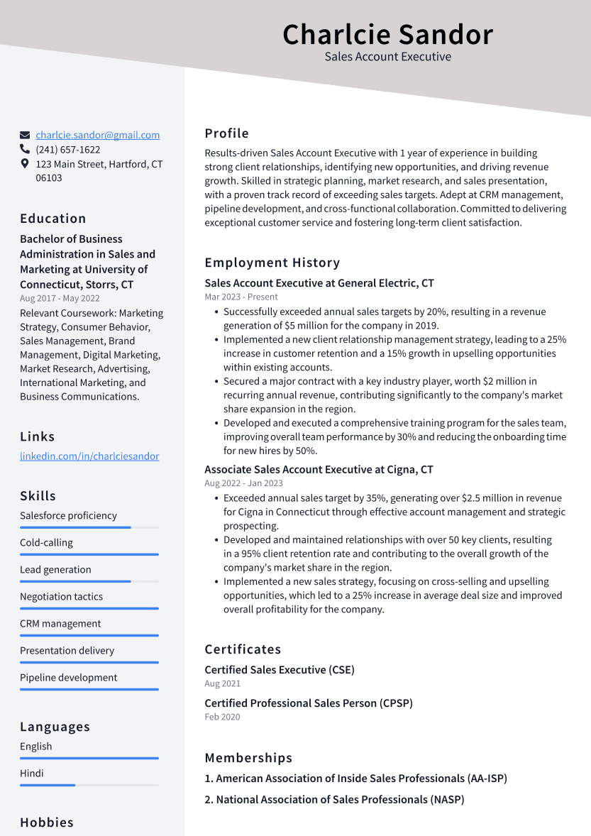 Sales Account Executive Resume Examples And Templates