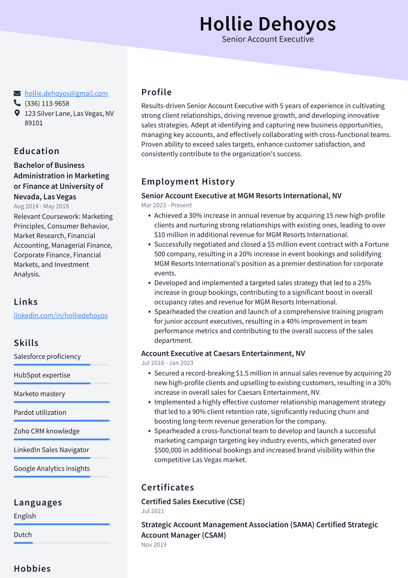 Top 17 Senior Account Executive Resume Objective Examples