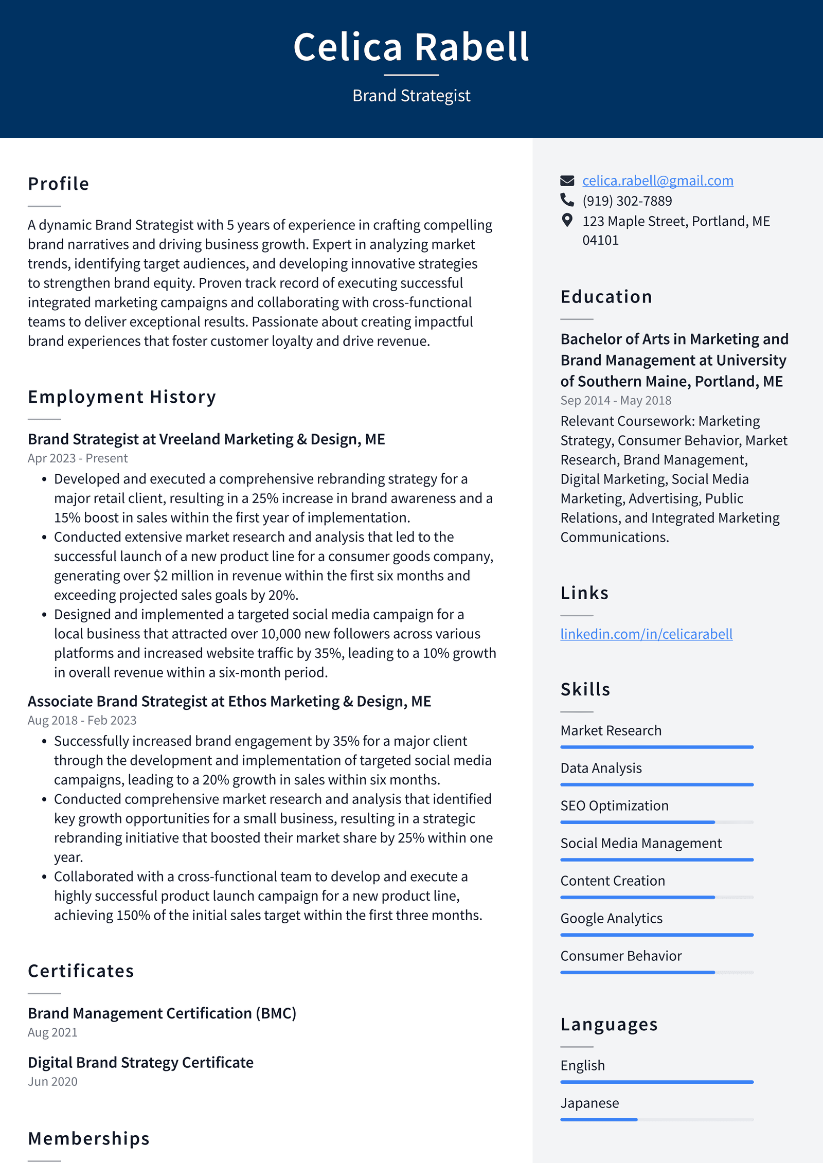 Snapchat Brand Strategist Resume Examples | ResumeCat