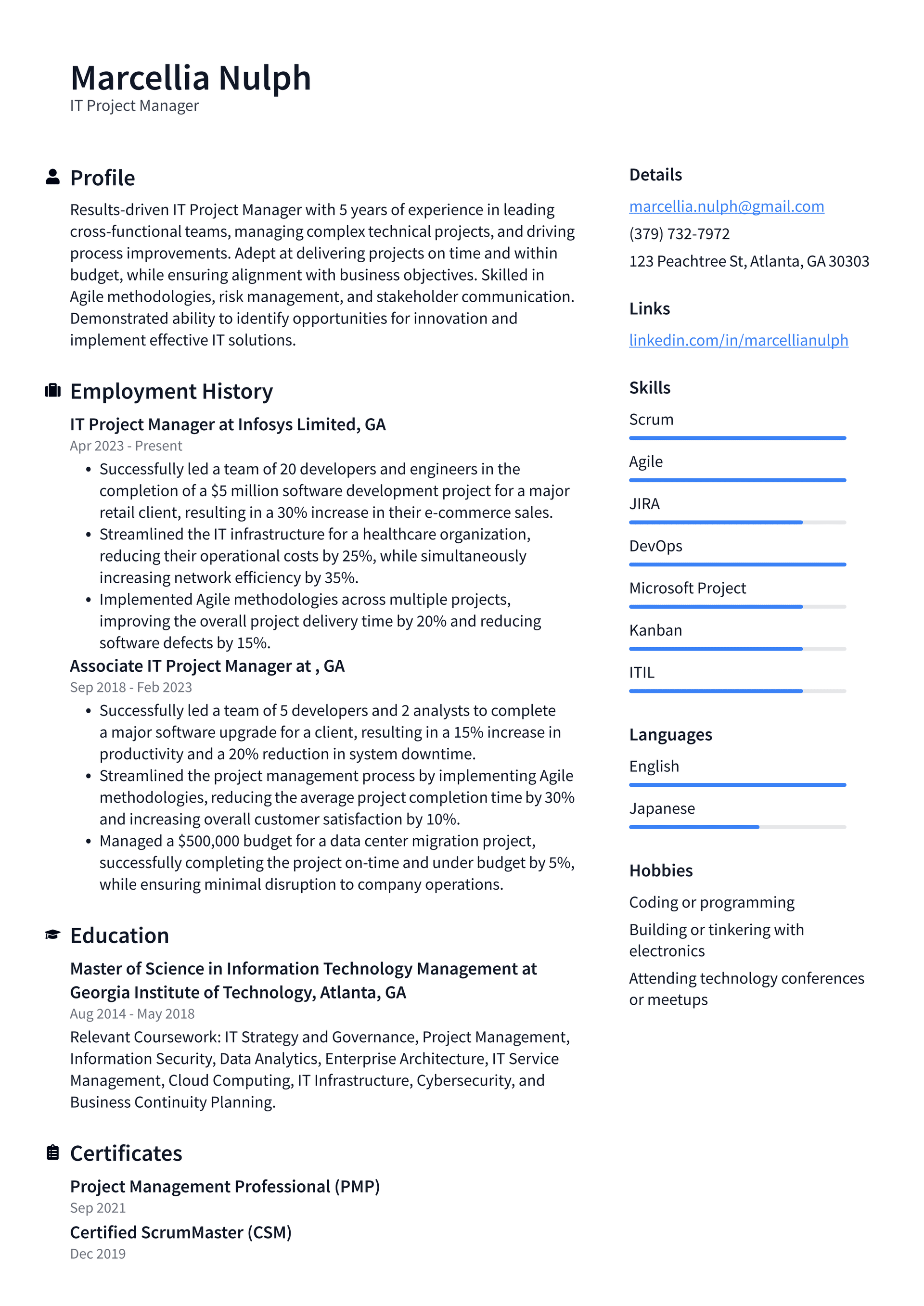 Tesla IT Project Manager Resume Examples | ResumeCat