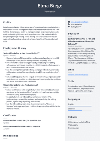Twitter Video Editor Resume Examples | ResumeCat