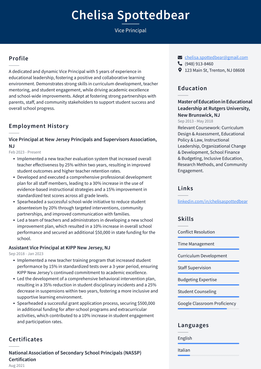 Vice Principal Resume Examples And Templates ResumeCat