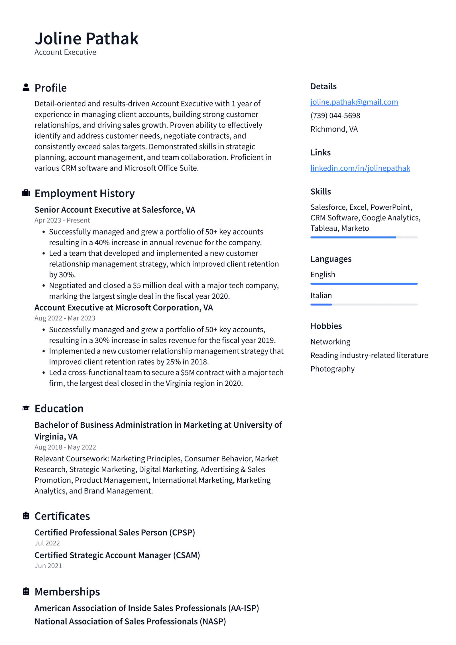 Zoom Account Executive Resume Examples | ResumeCat