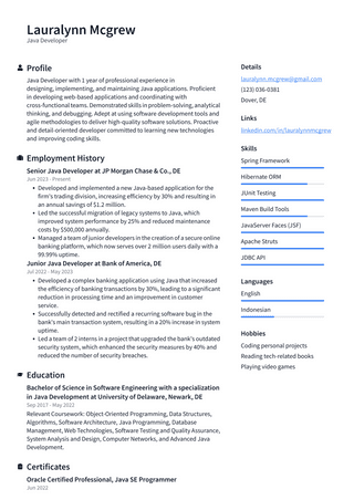 Zoom Java Developer Resume Examples | ResumeCat