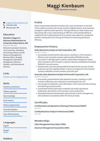 Zoom Sales Operations Analyst Resume Examples | ResumeCat