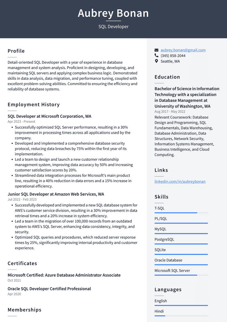Zoom SQL Developer Resume Examples | ResumeCat