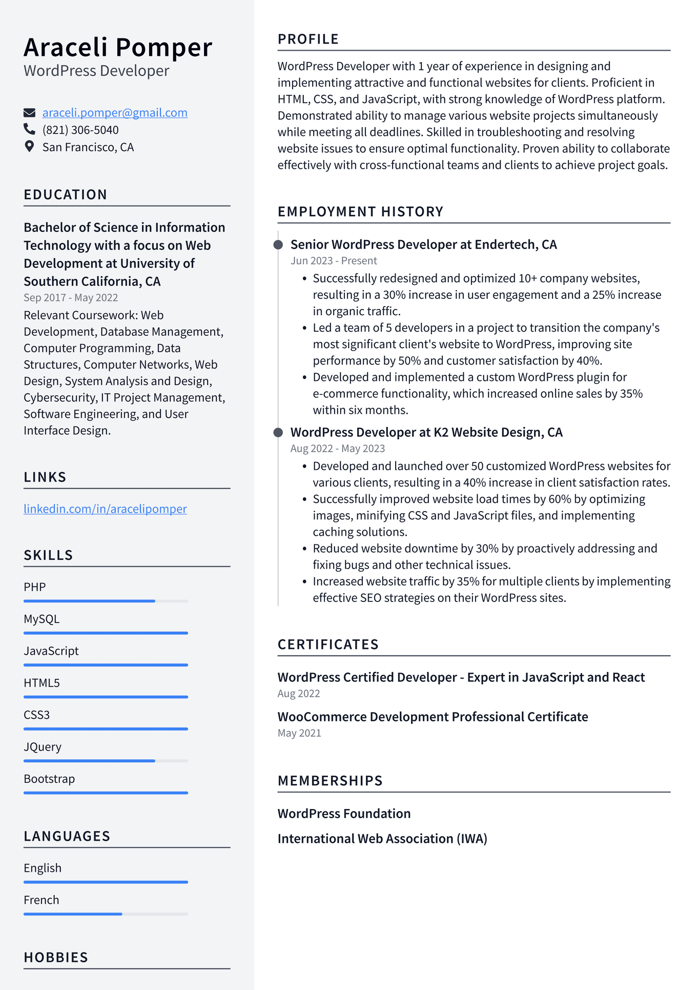 Zoom WordPress Developer Resume Examples | ResumeCat