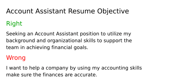Top 17 Account Assistant Resume Objective Examples