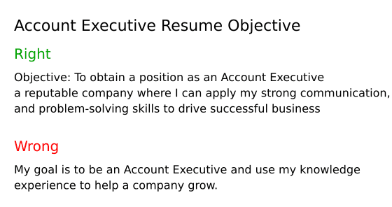 Top 17 Account Executive Resume Objective Examples