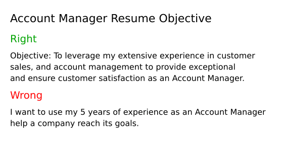 Top 16 Account Manager Resume Objective Examples | ResumeCat