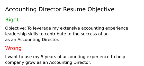 Top 18 Accounting Director Resume Objective Examples