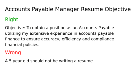 Top 16 Accounts Payable Manager Resume Objective Examples