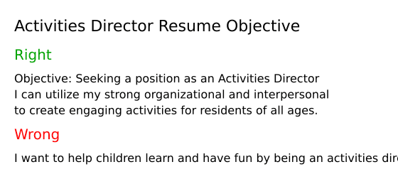 Top 17 Activities Director Resume Objective Examples