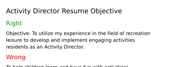 Top 16 Activity Director Resume Objective Examples