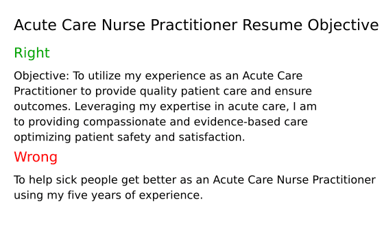 Top 17 Acute Care Nurse Practitioner Resume Objective Examples